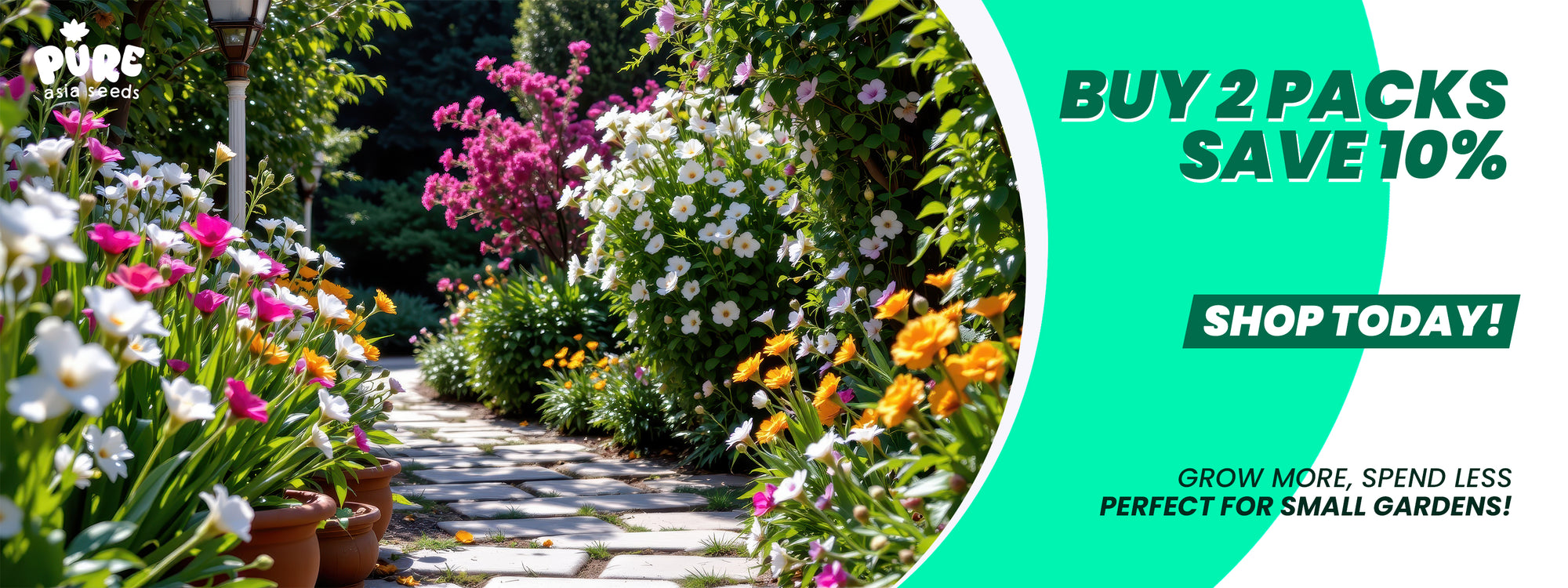 High-Quality Seeds for Home Gardeners | Pure Asia Seeds